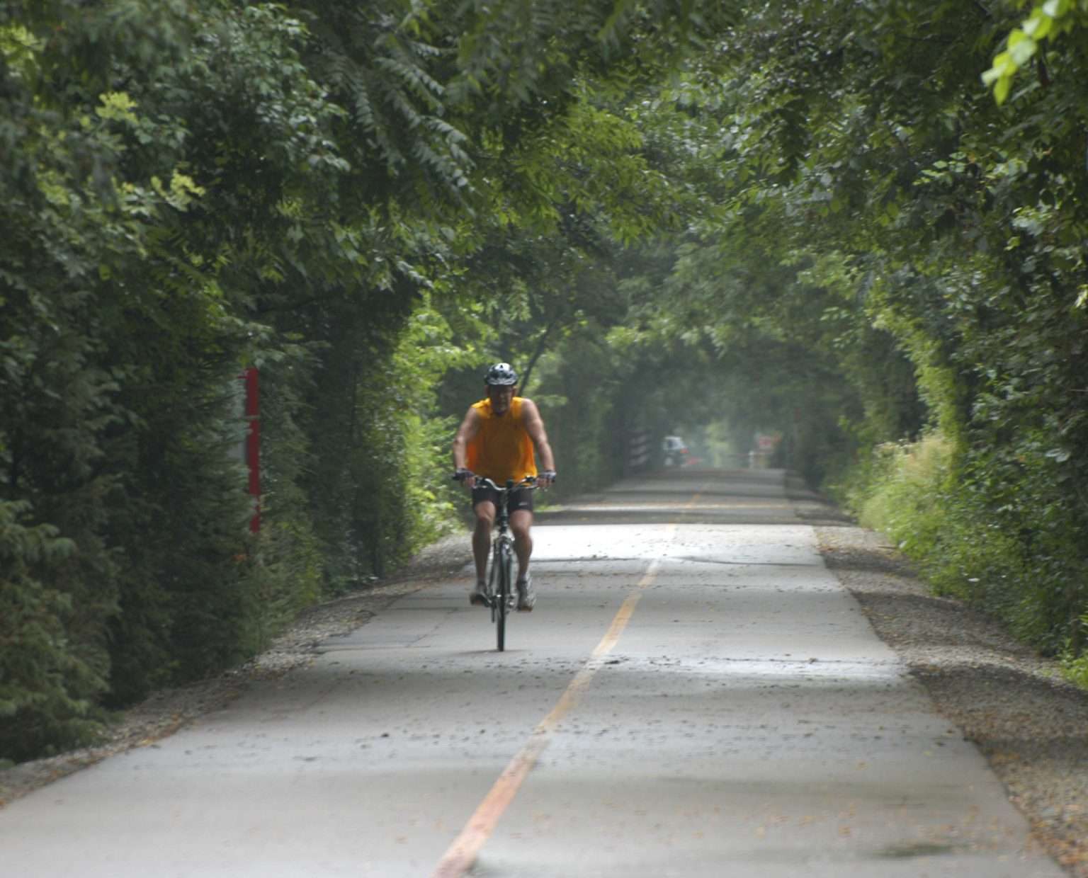 Celebrating Two Decades of the Monon Greenway